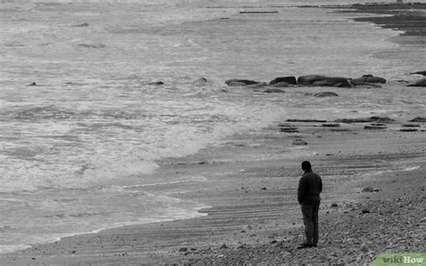 Een Fotografisch Geheugen Krijgen 8 Stappen Met Afbeeldingen WikiHow