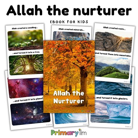 Allah The Creator Primary Ilm