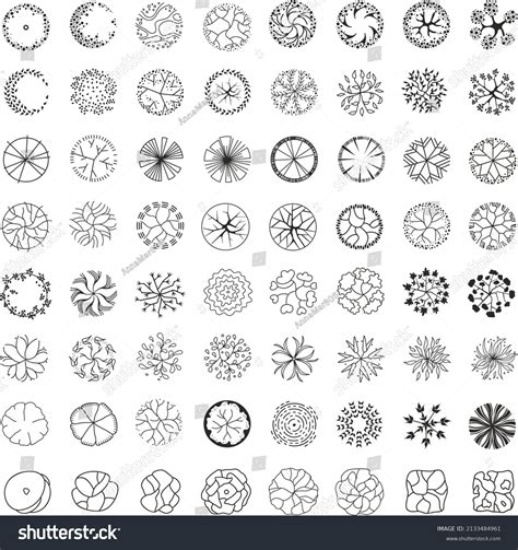 Tree Architectural Floor Plans Entourage Design Stock Vector Royalty