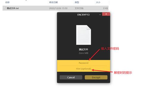 encrypto 简单快捷文件加密工具 数据加密 文件加密 数据安全 保护数据 防止封锁 哔哩哔哩