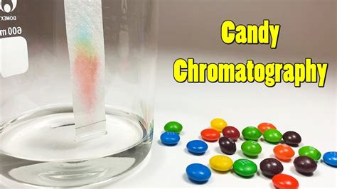Paper Chromatography Science Projects And Experiments Science Buddies Blog