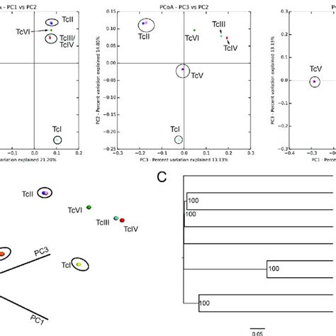 Principal Coordinates Analysis And Upgma Clustering Both Analyses Were