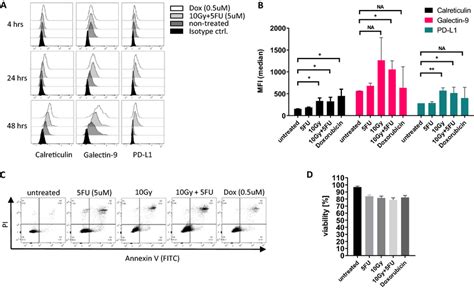 Chemo Radiation Treatment Induced Icd In Hct116 Cells Hct 116 Cells Download Scientific