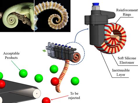 The Proposed Bio Inspired Design For Sorting Applications That Utilizes