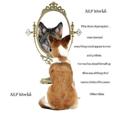 Nlp Content Reframe Nlp World Glossary
