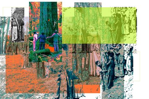 A Brief History Of Tree Hugging OTHERWISE COLLECTIVE