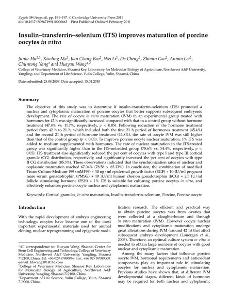 Pdf Insulin Transferrin Selenium Its Improves Maturation Of Porcine Oocytes In Vitro