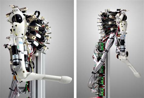 Roboy Tendon Driven Humanoid Robot