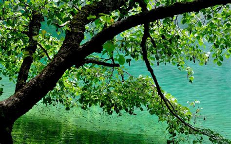 Knowledge Vs Understanding Whats The Difference And Why Does It Matter Knowledge And