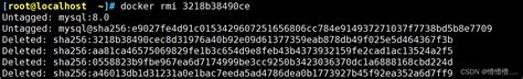 docker部署mysql8 0 21以及springboot部署，使用dockerfile生成镜像 docker拉取mysql8镜像 csdn博客