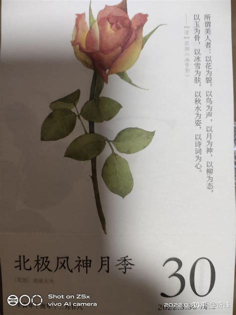 抄书打卡第31天 知乎