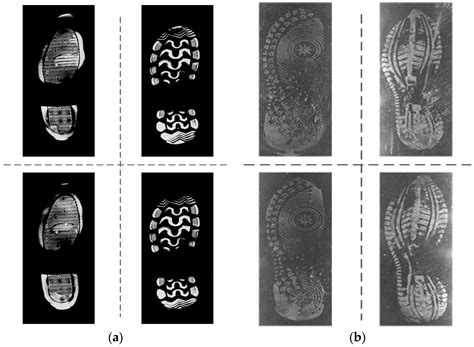Automated Shoe Print Identification System