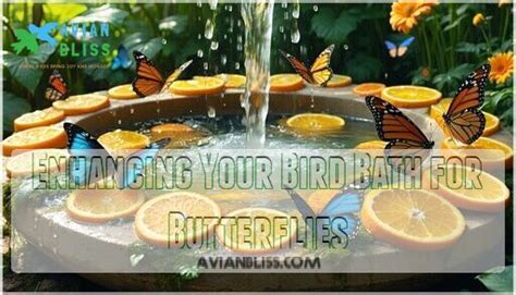 Bird Bath For Attracting Butterflies Transform Your Garden Today