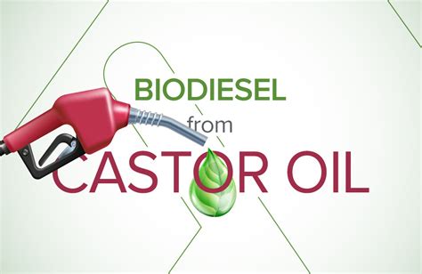 Castor Oil Archives Ambuja Solvex