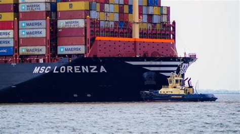Containership Msc Lorenza Maiden Arrival At Port Of Felixstowe 🇬🇧 66