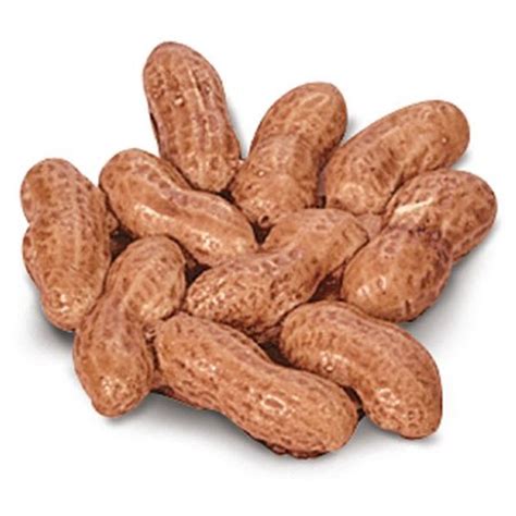 Fake Peanuts