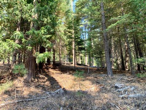 Possibilities Await For Sale In Grizzly Flats Ca El Dorado County