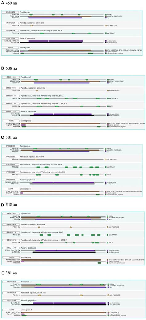 Interproscan Sequence Features Representative Examples Are Shown For