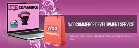 Professional Woocommerce Development Service From Expert Developers India Development Top