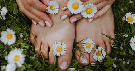 꽃을 들고 있는 한 무리의 손 사진 Unsplash의 피트 이미지