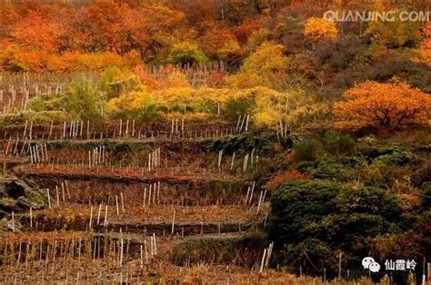 秋天的背影颜色