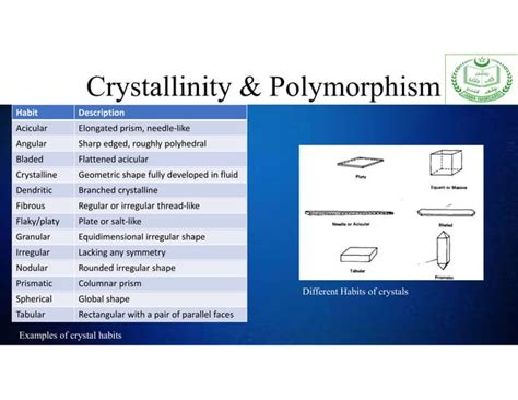 Preformulation Crystallinity And Polymorphismpdf