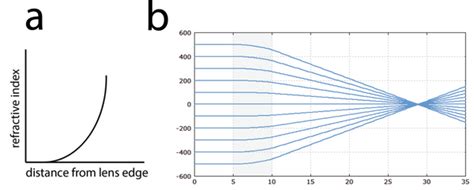 Peering Beyond The Surface With Gradient Index Lenses