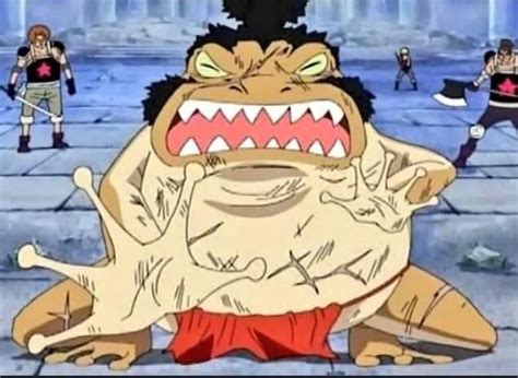 I Was Rewatching One Piece With Friends And Noticed “yokozuna” The Frog R Sumomemes