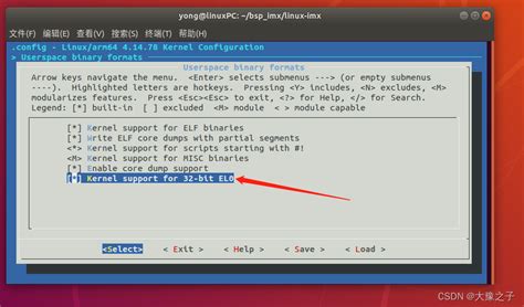 Arm64位平台如何跑32位可执行程序arm64调用32位的so Csdn博客