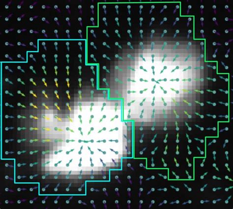 SCS Fig IMAGE EurekAlert Science News Releases