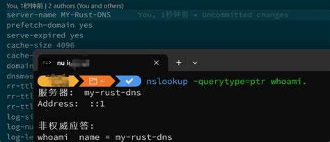 Nslookup命令是否已经不能检测samrtdnsn的运行情况？ · Issue 161 · Mokeyishsmartdns Rs