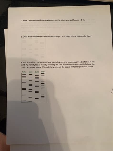 Solved Activity 2 1 Sketch The Gel After You Completed The