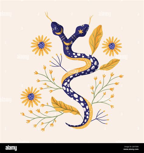 anaconda stock vector images alamy