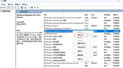 微软为wsl2提供原生systemd 支持 墨天轮