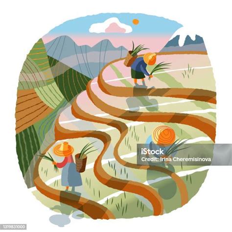 농업 분야에서 일하는 아시아 농부들 중국 베트남 인도 또는 인도네시아 노동자 벡터 일러스트와 농장 쟁기 또는 괭이로 밭에서 작물을 수집하는 남성과 여성 따기에 대한 스톡