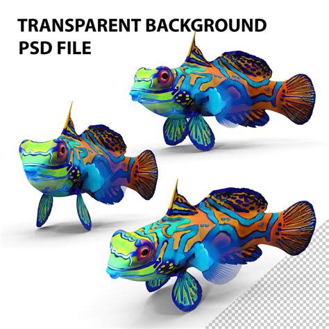 Premium Psd Mandarin Fish Png