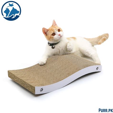 Scratch Pad Board Price In Pakistan Buy Online Now