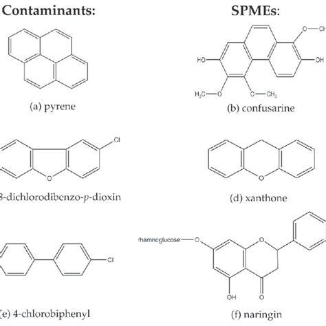 Schematic Visualization Of Cometabolism Differences Between Primary