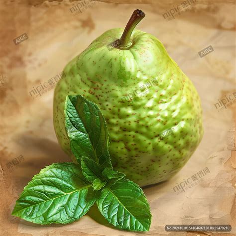 Ai创作图数码手绘水果 番石榴手绘 番石榴插画 雀斑青苹果 手绘番石榴 水果写实手绘 番石榴高清 手绘写实秋月梨 番石榴素材 番石榴绘画 手绘