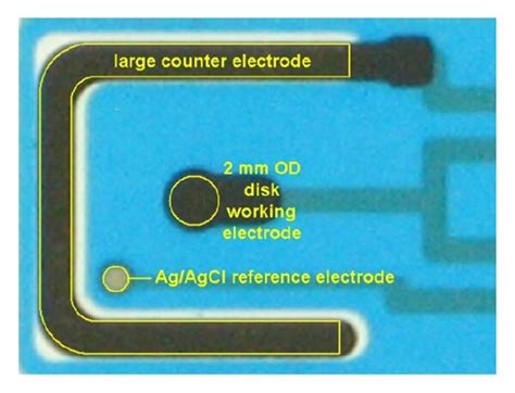 The Electrochemical Sensor And Fabrication A Real Image Of The Download Scientific Diagram