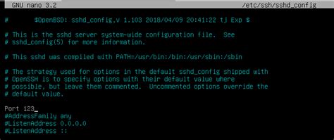 Cara Install Dan Mengaktifkan Ssh Di Debian 10 Lamnesia Media