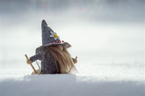 스키를 타고 햇볕에 흰 눈 위에 스키 폴을 가진 크리스마스 엘프 Saint Nicholas Day에 대한 스톡 사진 및 기타 이미지 Saint Nicholas Day