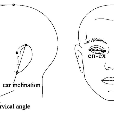 4 Types Of Facial Anthropometric Measurements Download Scientific Diagram