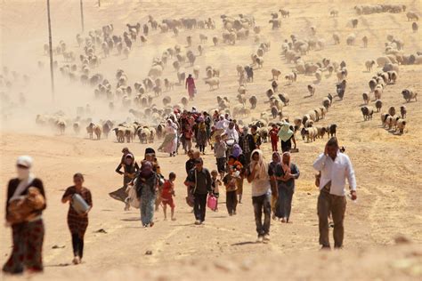Est100 一些攝影some Photos Yazidi Refugee In Iraq 雅茲迪 亞茲迪 難民
