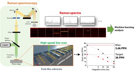 Empa Transport At Nanoscale Interfaces High Speed Raman Imaging