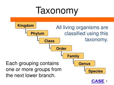 Ppt Scientific Classification And Taxonomy In Agriculture Powerpoint Presentation Id 8922068
