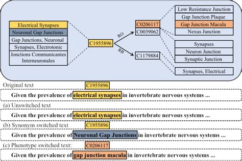 A Switching Example From The Corpus The Codes Beginning With C Are