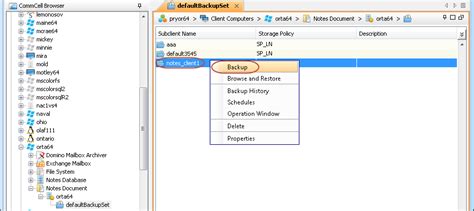 Backup Notes Document Idataagent