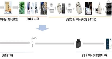 종자용 유채·면화 유전자변형생물체 검출 정밀진단분석법 개발