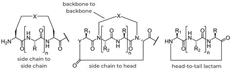 Polypeptide Molecule Structure